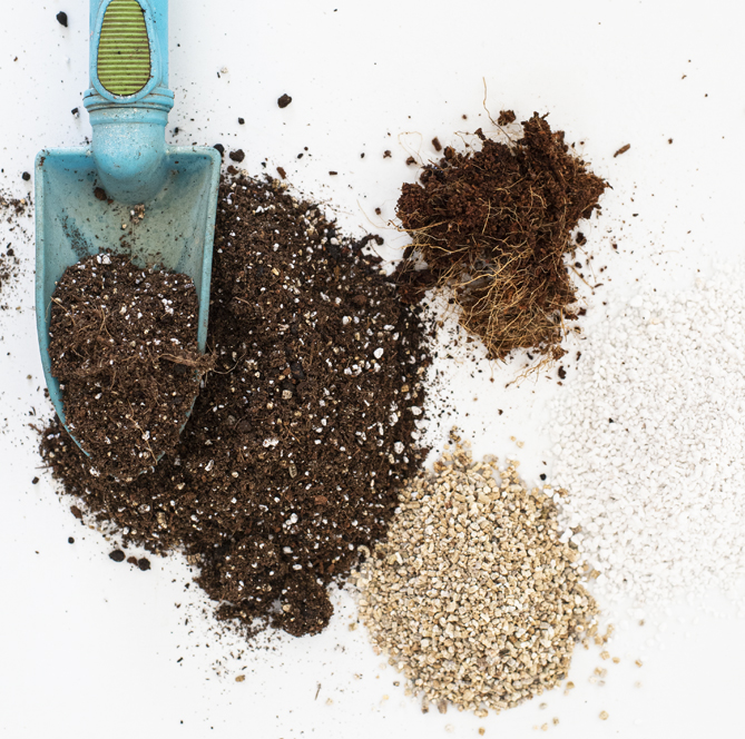 sustrato tierra plantas fibradecoco humus